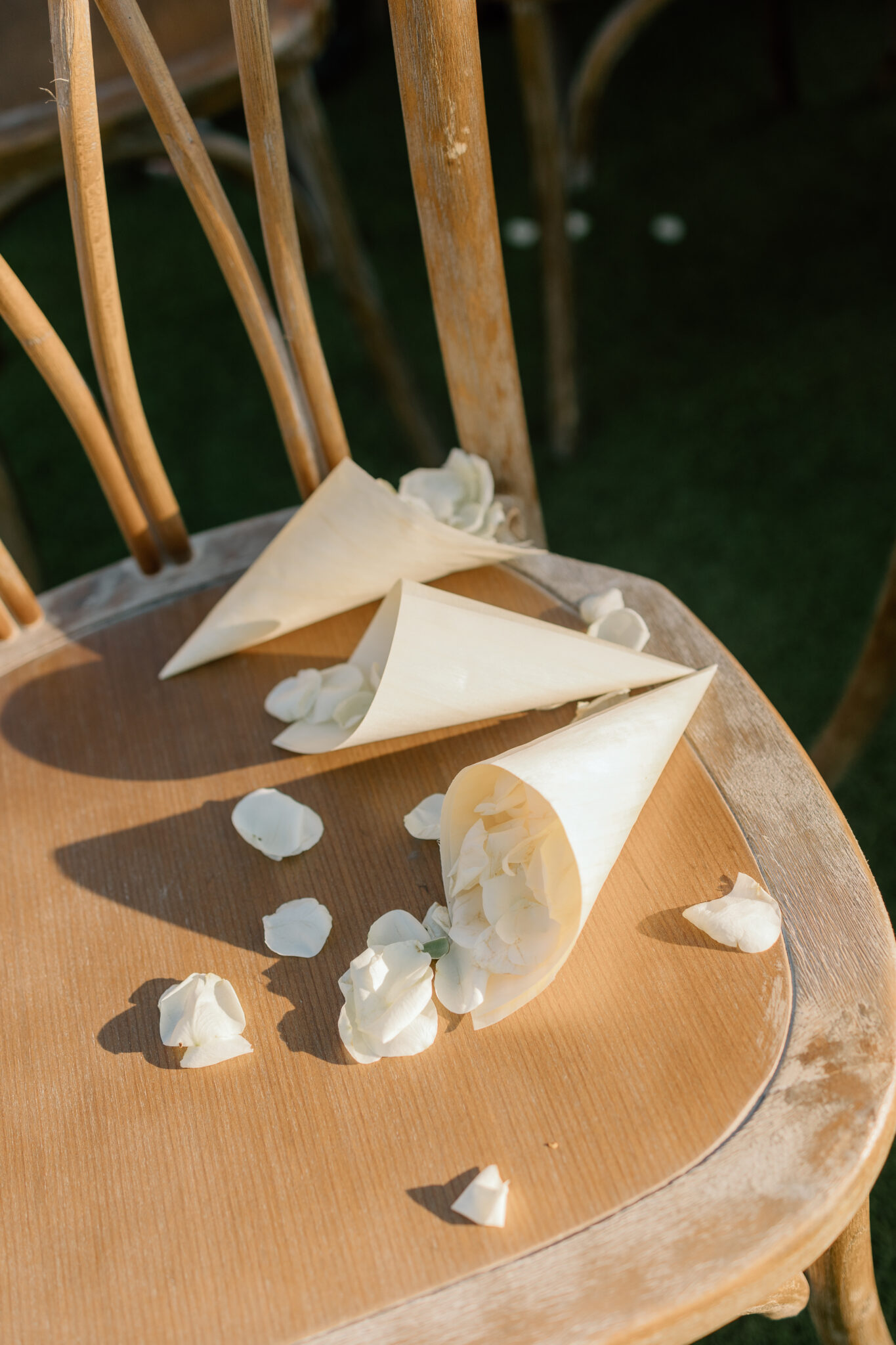 A Modern and Minimal Ceremony at Hotel Hartness | Courtney + Nick ...